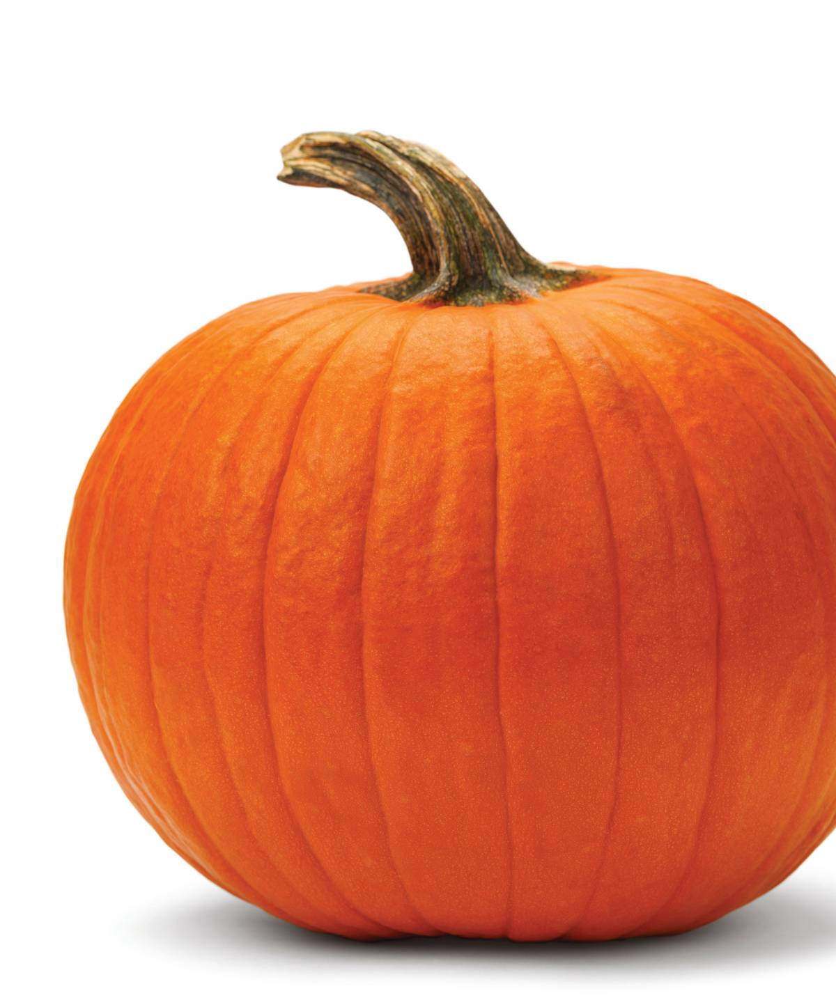 Hit These Hudson Valley Farms for Prime Pumpkin Picking