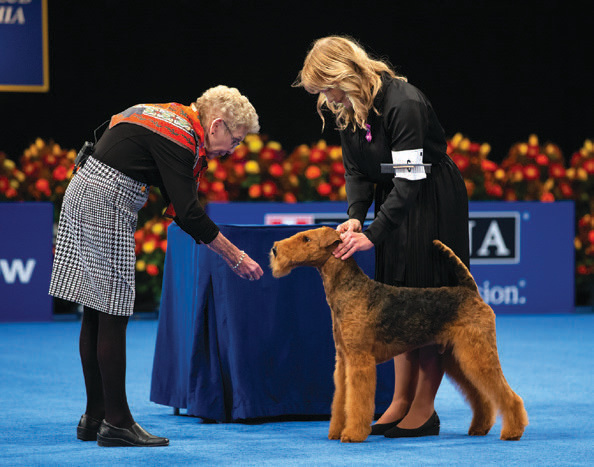 5 Can’t-Miss November Events Happening Around the Main Line